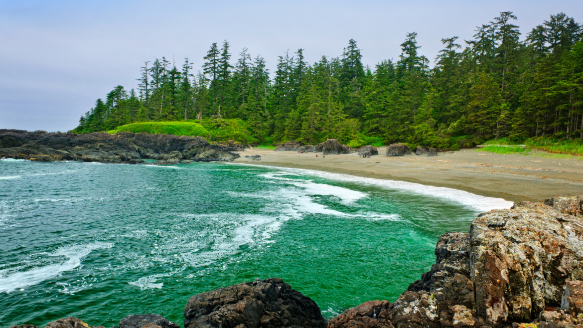 Marine Biodiversity Library & MPA eDNA monitoring - Ocean Decade