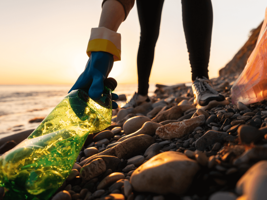 What is an Early Career Ocean Professional and Why You Should Join the ...