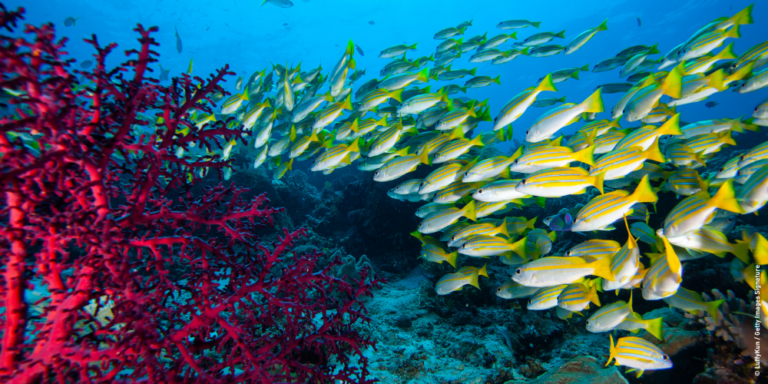 Ocean science in action: How ocean data helps to better predict the ...