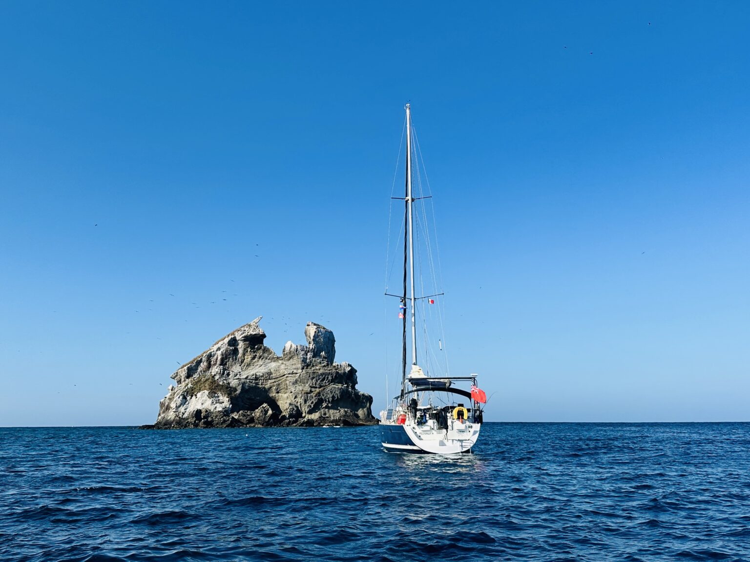 What is an Early Career Ocean Professional and Why You Should Join the ...