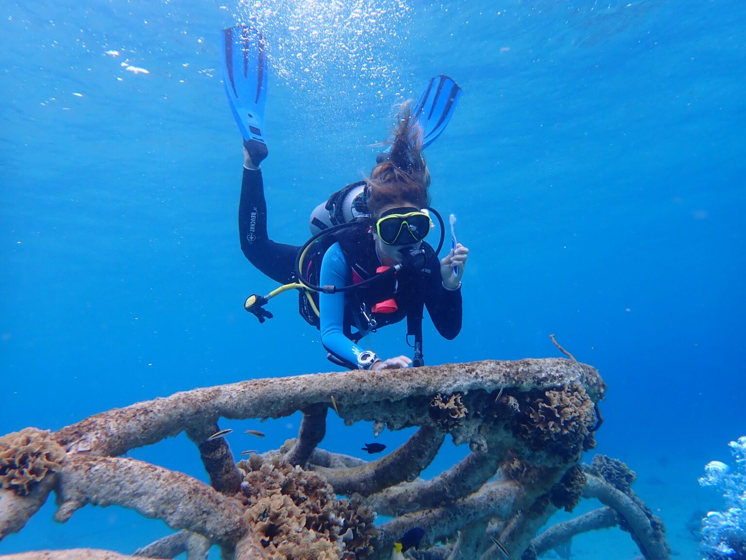 What is an Early Career Ocean Professional and Why You Should Join the ...