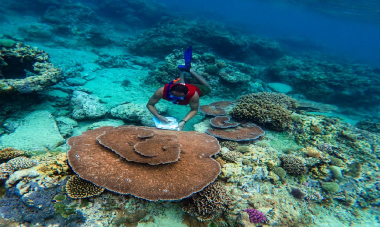 What is an Early Career Ocean Professional and Why You Should Join the ...