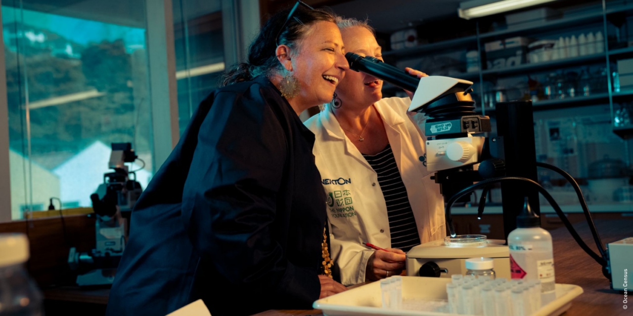 Ocean science in action: Understanding the unknown – why scientists are ...