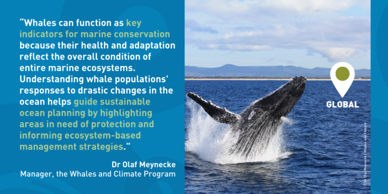 Ocean science in action: What is Sustainable Ocean Planning and why ...