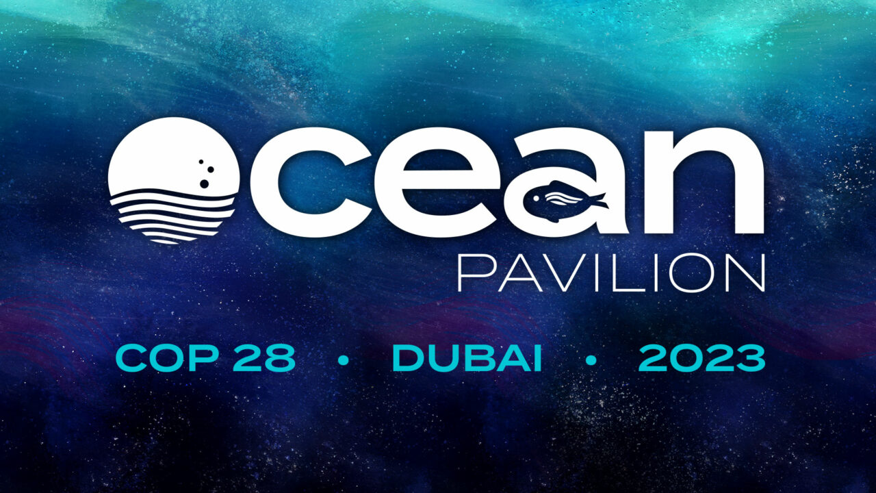Ocean Pavilion returns to the UN Climate Conference with Call for Ocean ...