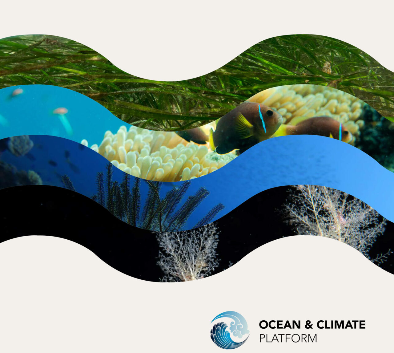 What ocean for tomorrow? Marine ecosystems in a changing climate ...